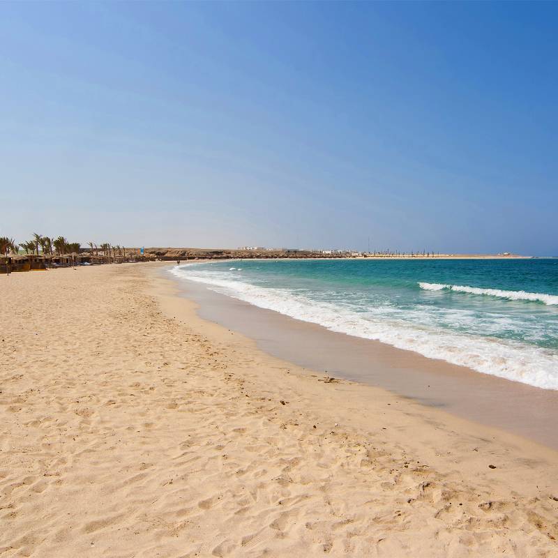 Abu Dabab Schildkröten Marsa Alam schnorcheln Tauchen